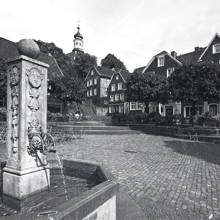 History of the Okapi Brand