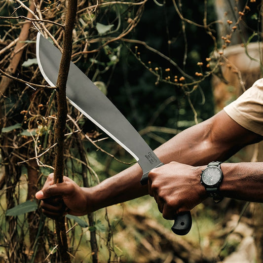 History of the Okapi Brand